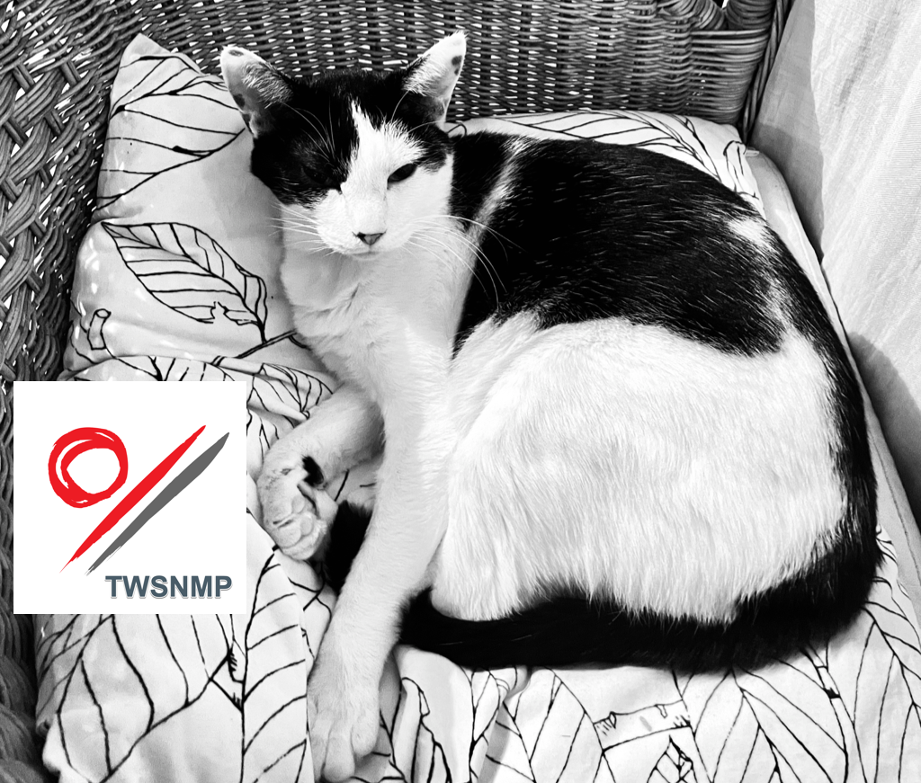 TWSNMP GitHUB Pages